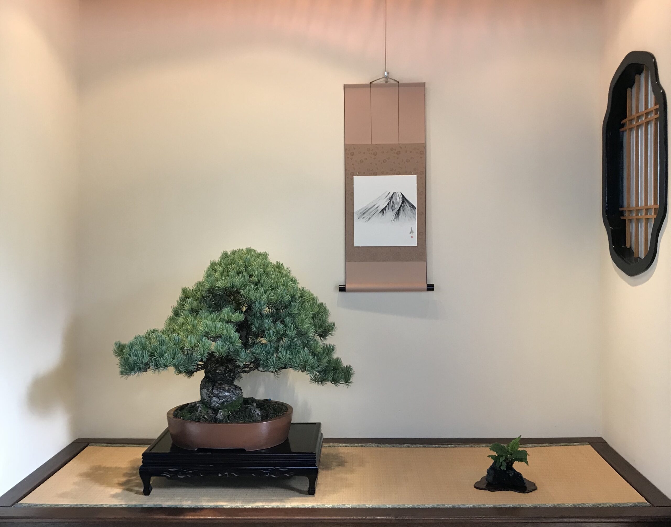 What is Bonsai? German couple artists show us how beautiful it is.